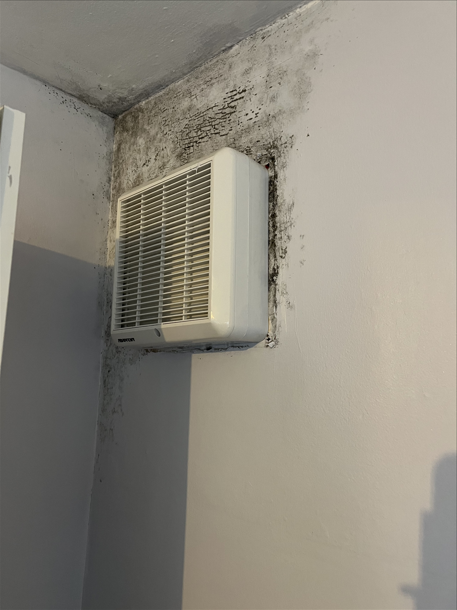 Mold Defect Detection Object Detection Dataset By Master Project