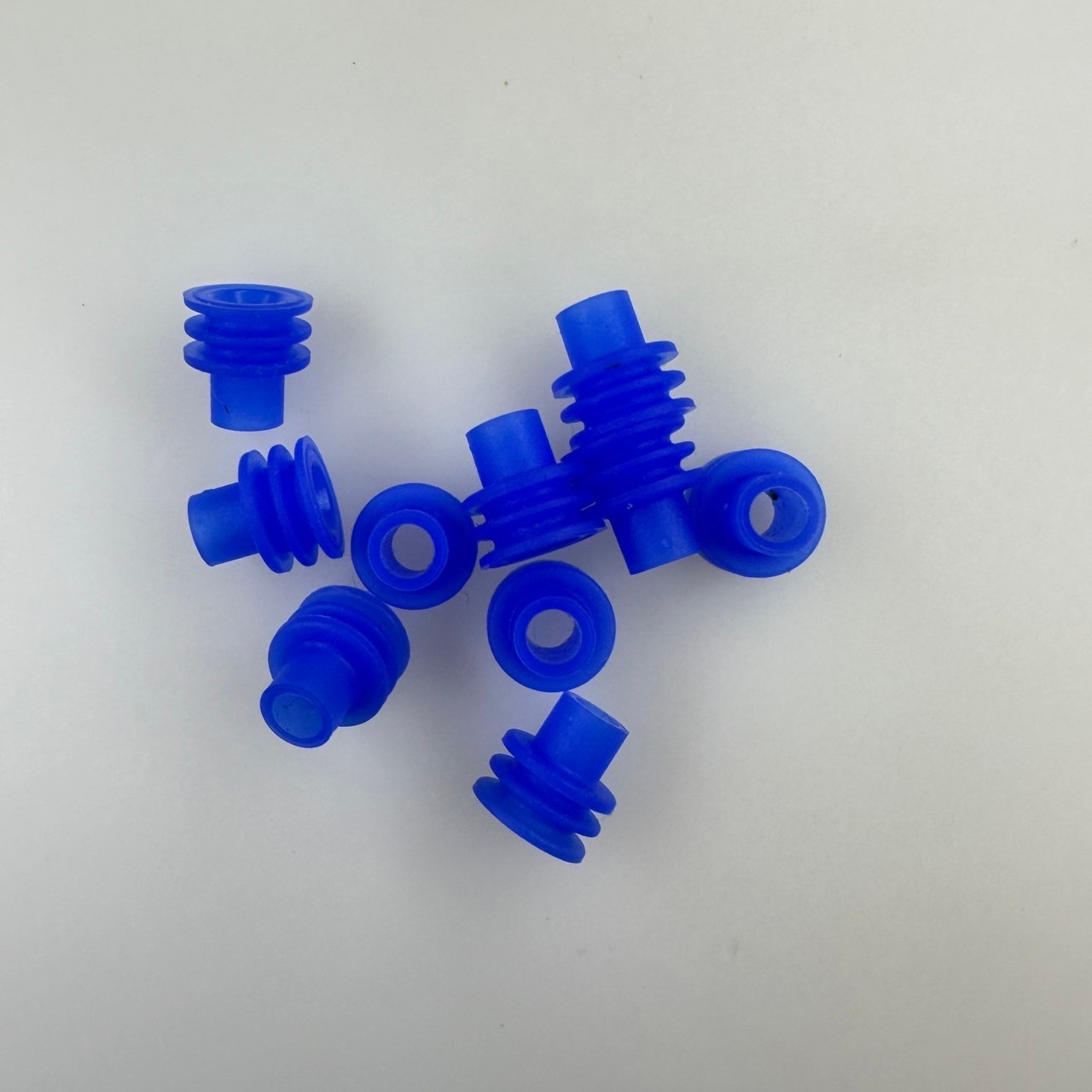 RABER SEAL Object Detection Dataset by narusorn