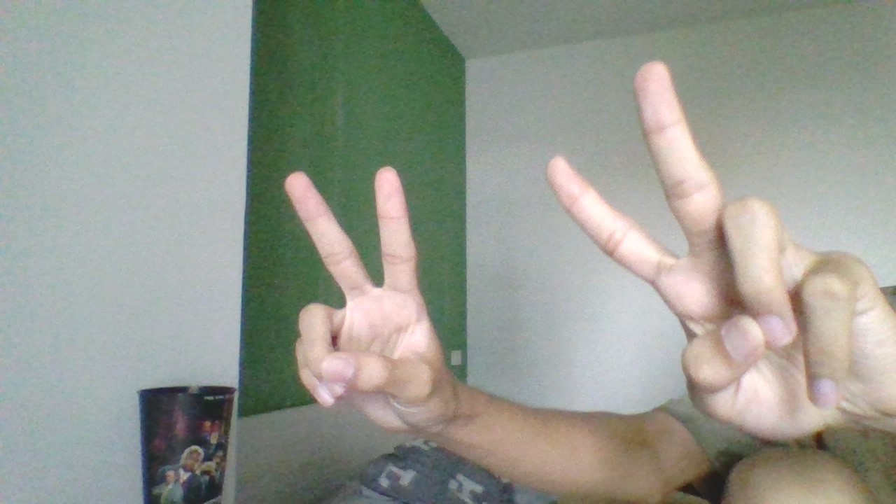 Rock-Paper-Scissor Object Detection Model by test