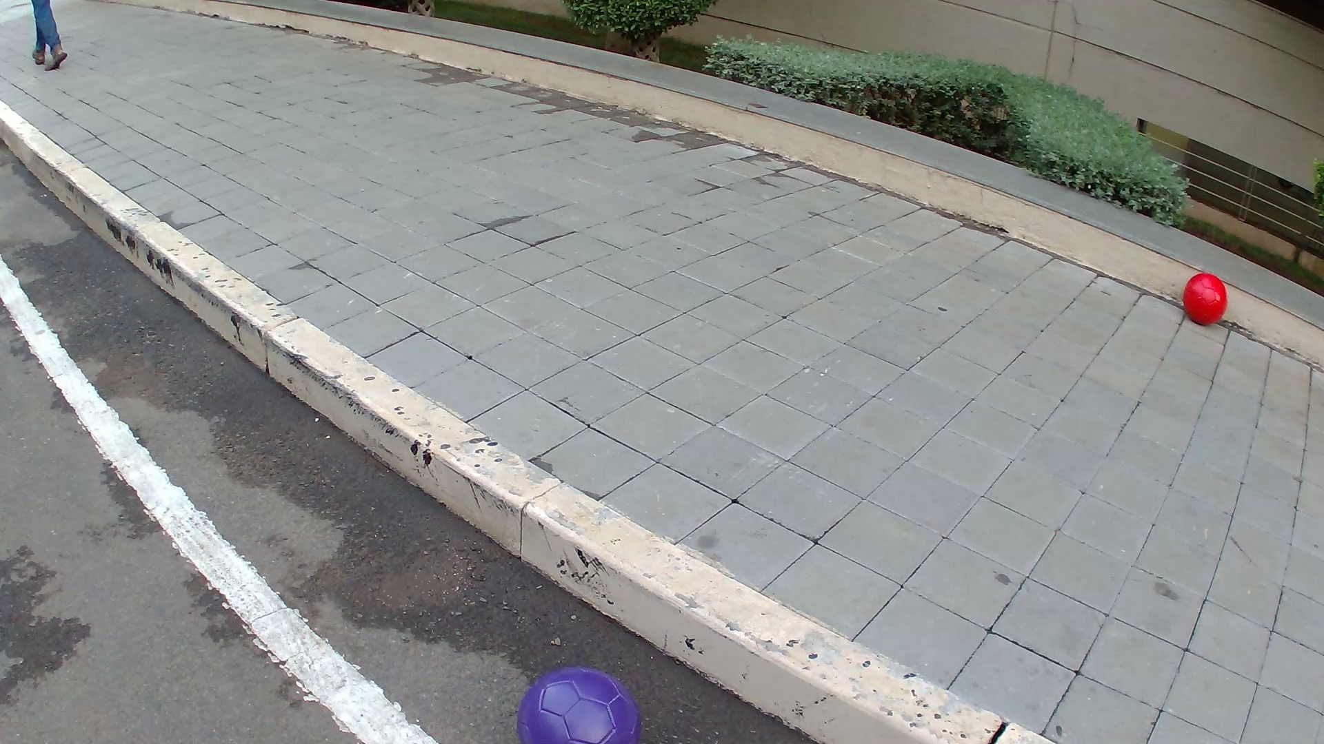 Ball Detection Object Detection Dataset And Pre Trained Model By Workspace