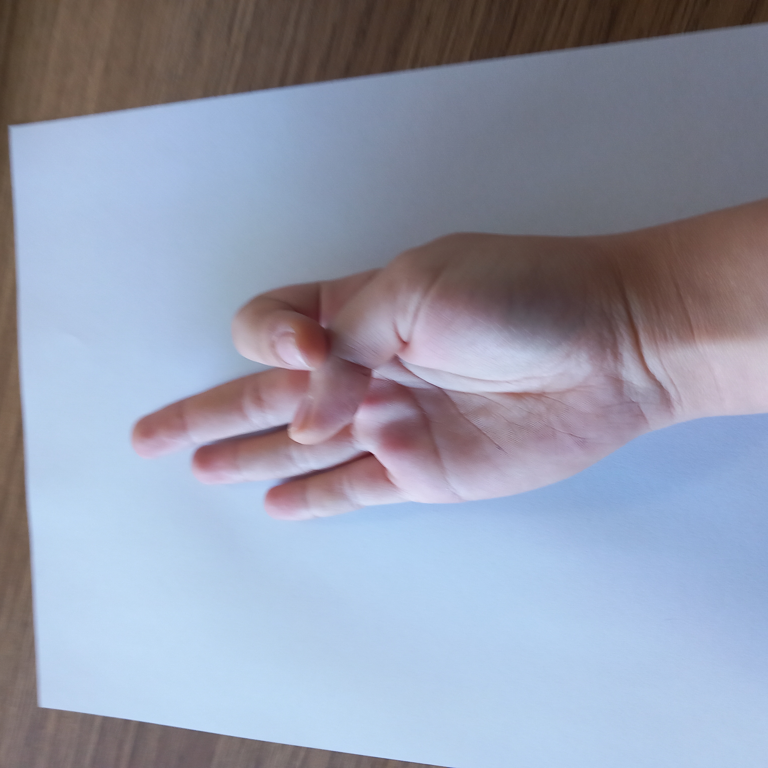 Hand Gestures Object Detection Dataset and Pre-Trained Model by Hand Gestures