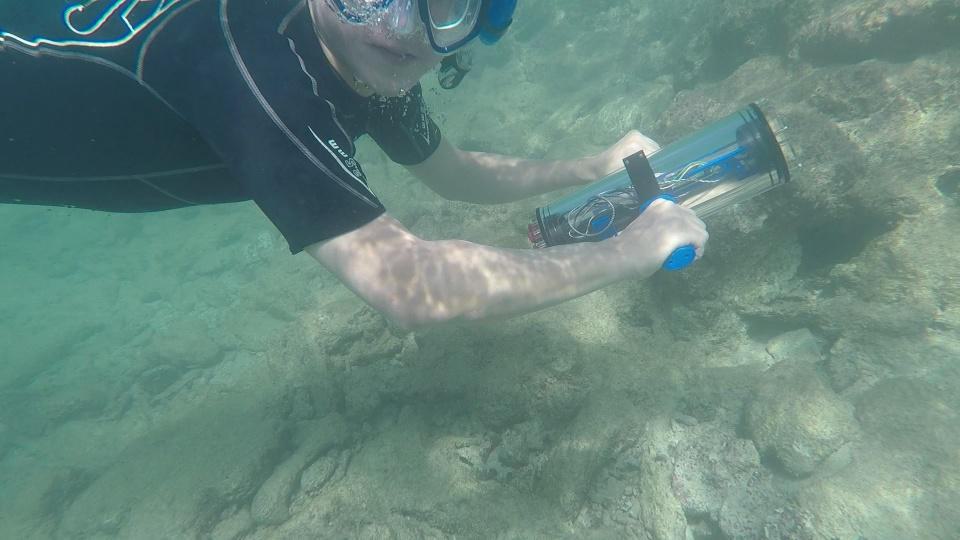 Fish Instance Segmentation Instance Segmentation Dataset by CS 199