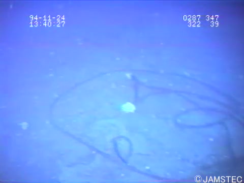 Trash_ICRA19 to Yolo Object Detection Dataset by kwigulaker@gmail.com