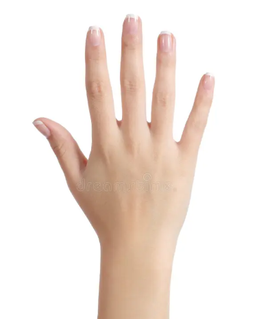 projet final IA - Roboflow Universe