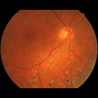 Artificial Intelligence (artificial-intelligence-tnr4g) - Roboflow Universe