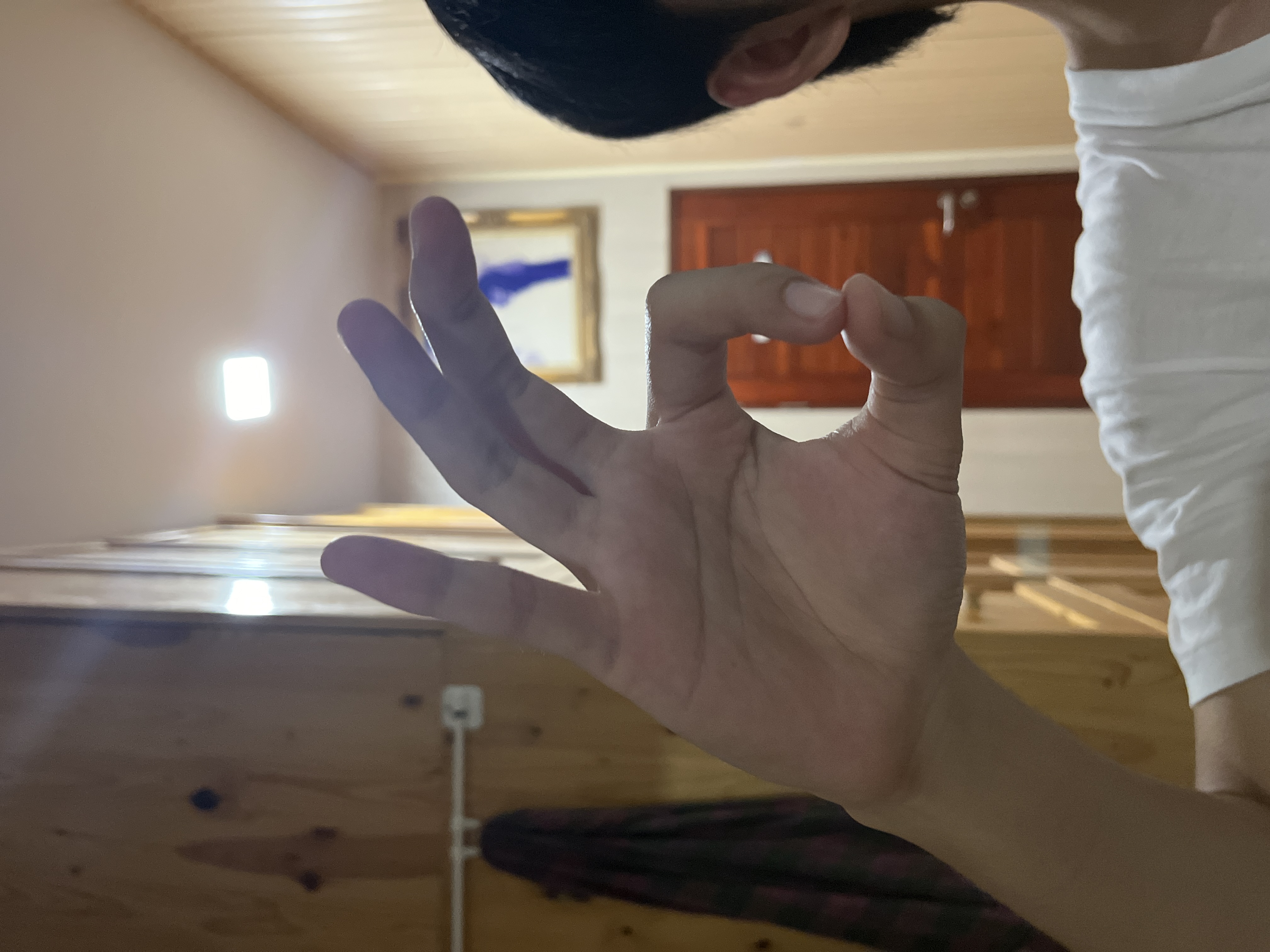 Robotikusu project Object Detection Dataset by Harumerody Object Detection
