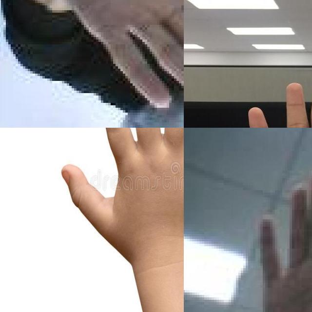 Nail Instance Segmentation Dataset and Pre-Trained Model by premanshu