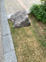 Objection Detection in Lab - Roboflow Universe