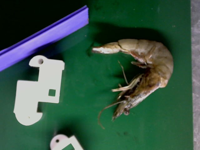Shrimp For Project Object Detection Dataset And Pre Trained Model By