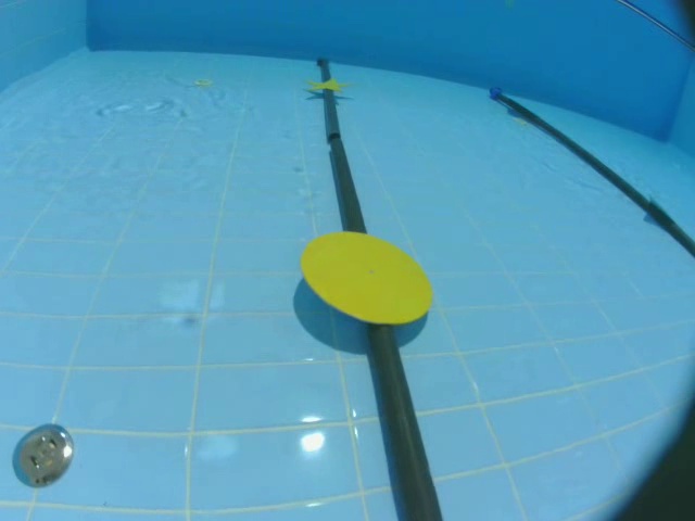 Anomaly Detection Object Detection Dataset And Pre Trained Model By