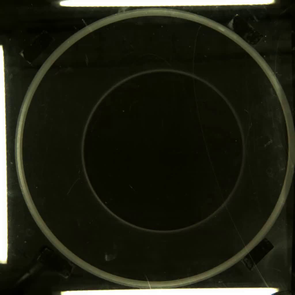 LabGym Coldpain Instance Segmentation Dataset by Nicole LabGym