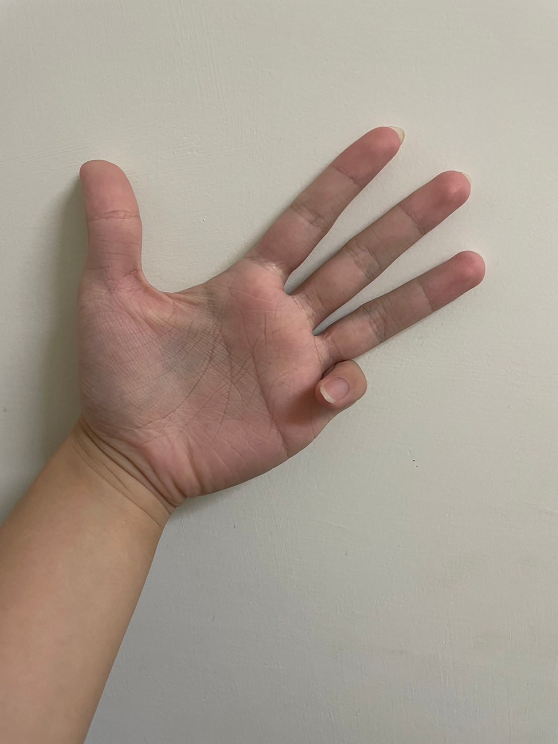 hand gesture Object Detection Dataset and Pre-Trained Model by hand