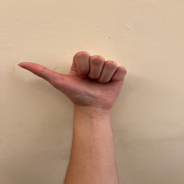 hand model Keypoint Detection Dataset by hand