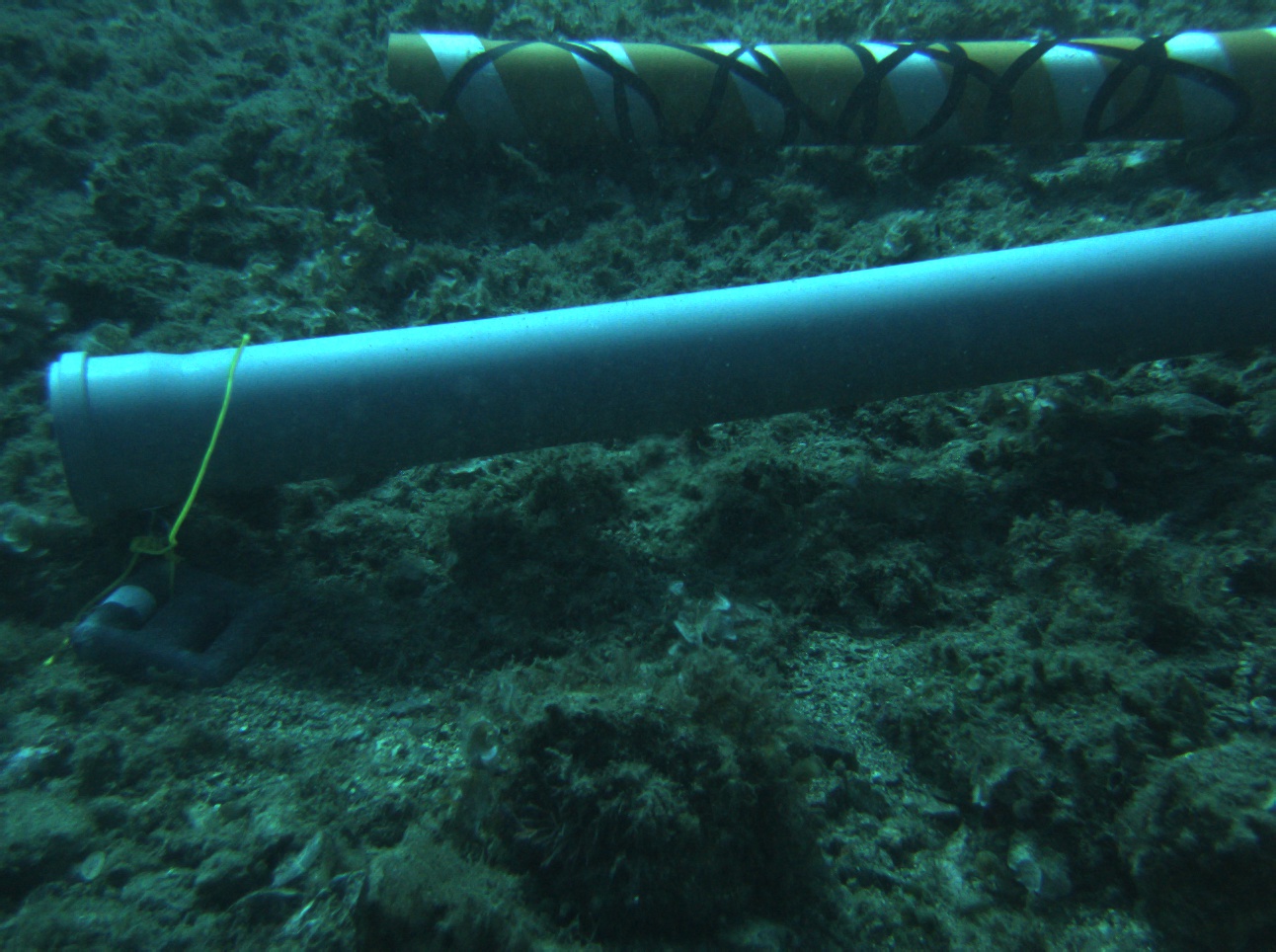 Underwater_pipes_orginal_pictures Object Detection Model by UnderwaterPIPES