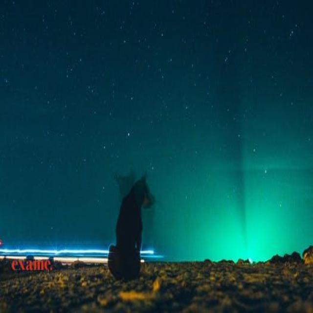 logo-classification Classification Model by 2fn