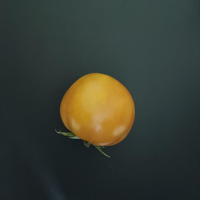 Tomatos Object Detection Dataset By Hardness Evaluation Object