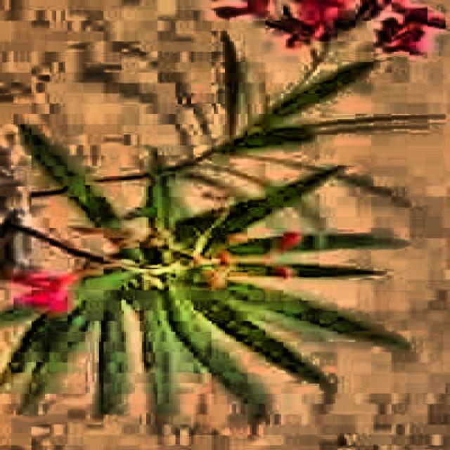 Plant Detection Object Detection Dataset By Rihem