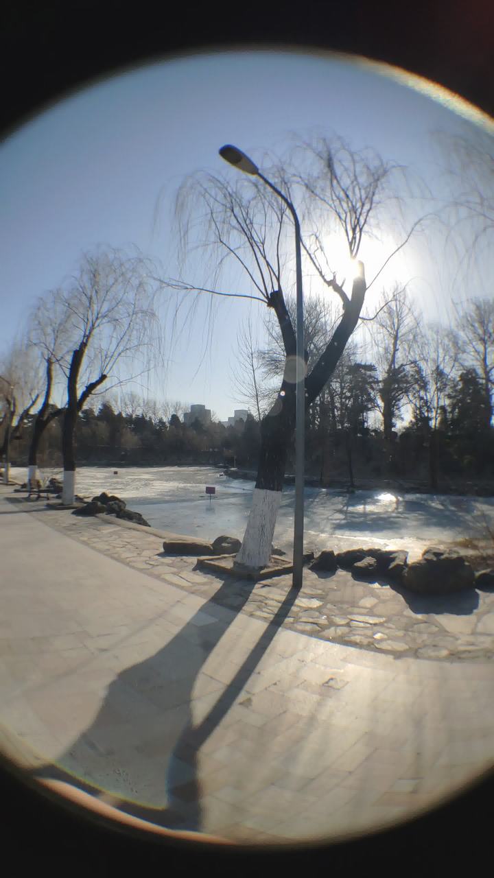 ObsProject Object Detection Dataset by monir