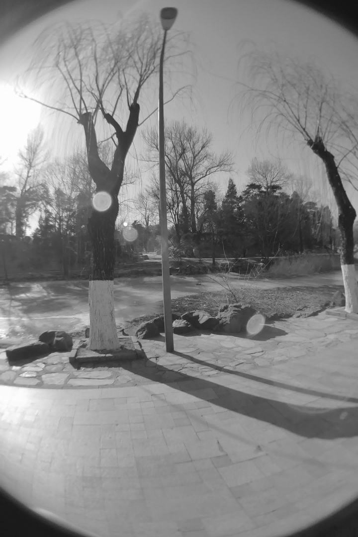 Number Of Classes Object Detection Dataset By Monir