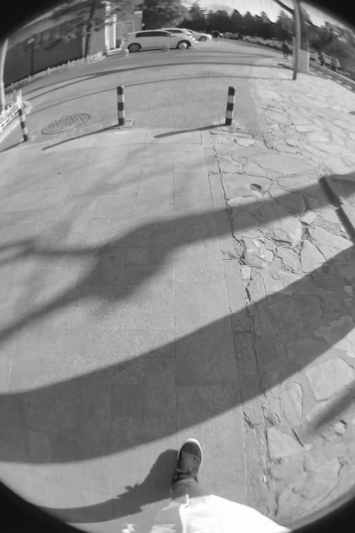 Retina2 Object Detection Dataset By Monir