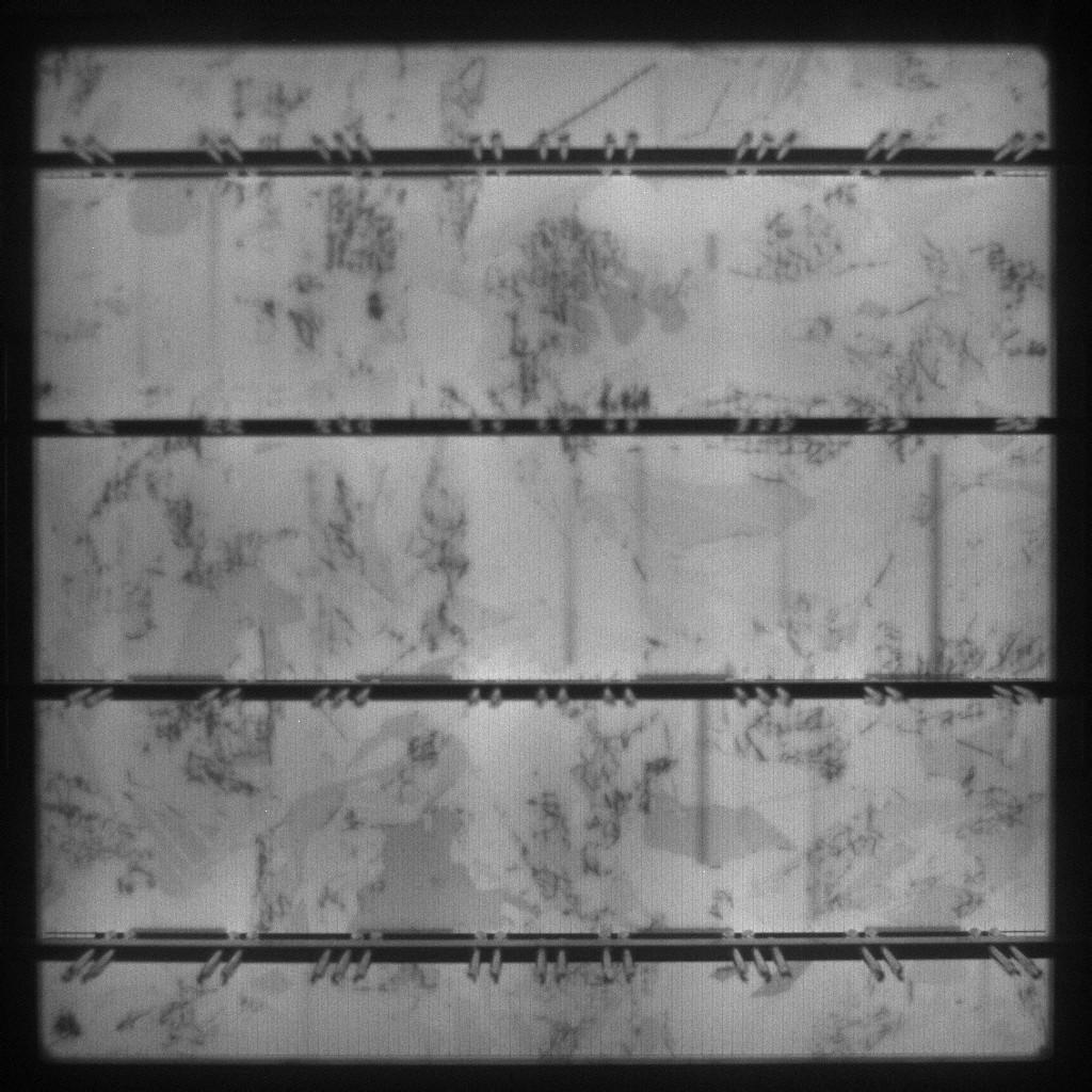 pvel_ad_v3 Object Detection Dataset by project-isfyr