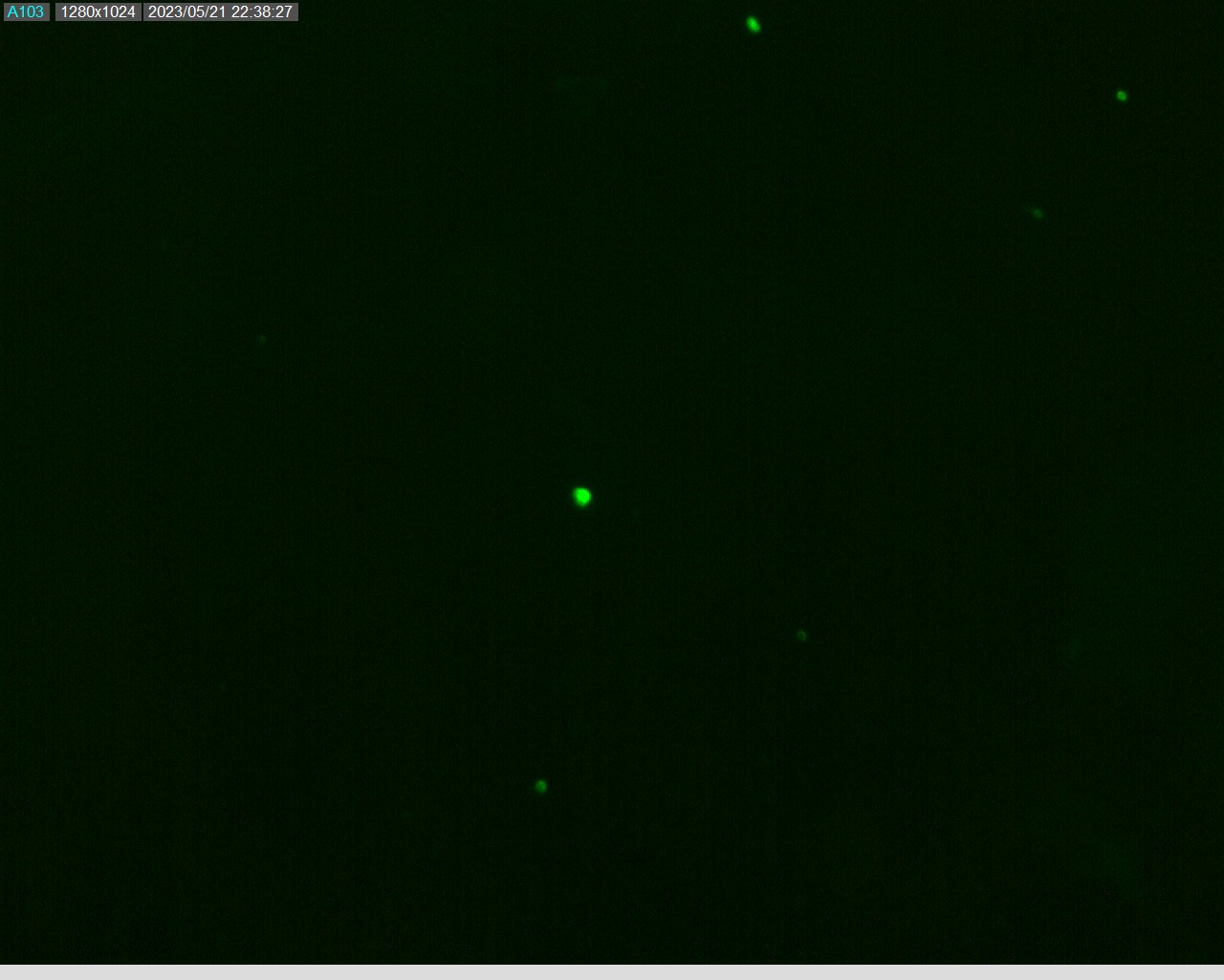 Cell Val Detection Object Detection Dataset By Detection