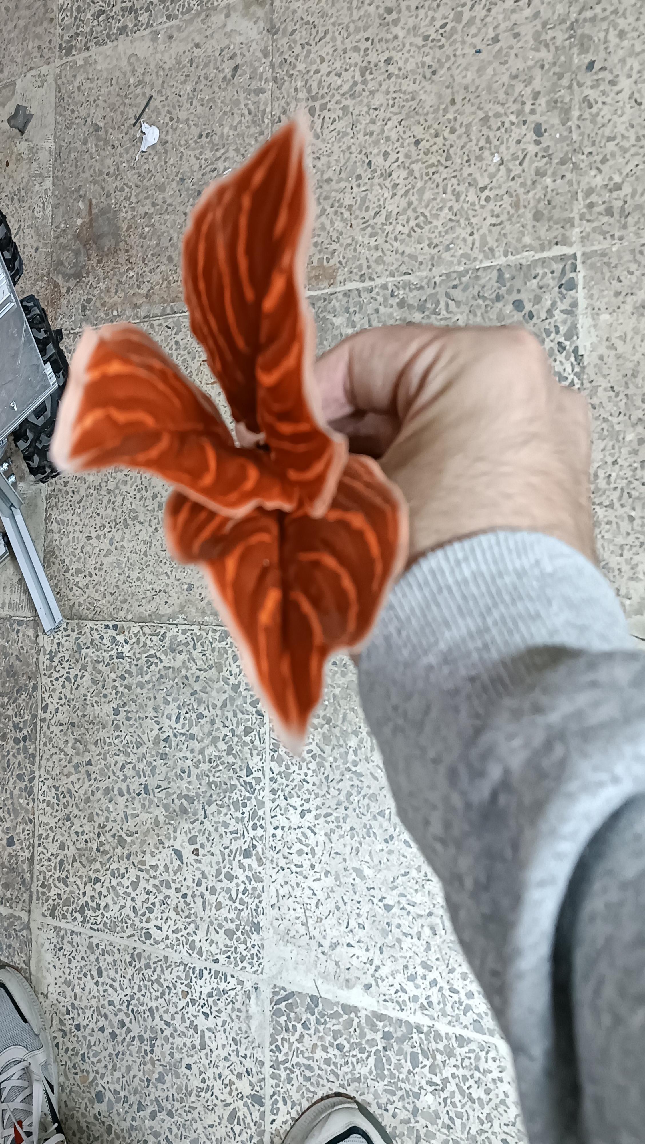 How To Use The Bitki Alt Object Detection Api