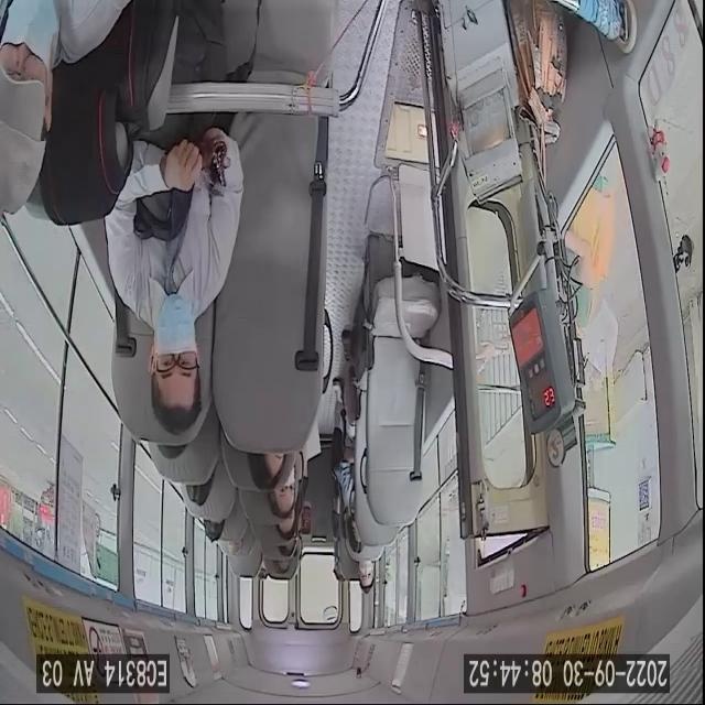 Passenger Object Detection Dataset by Deakin