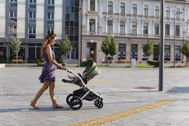 Temp Object Detection Dataset By Deakin