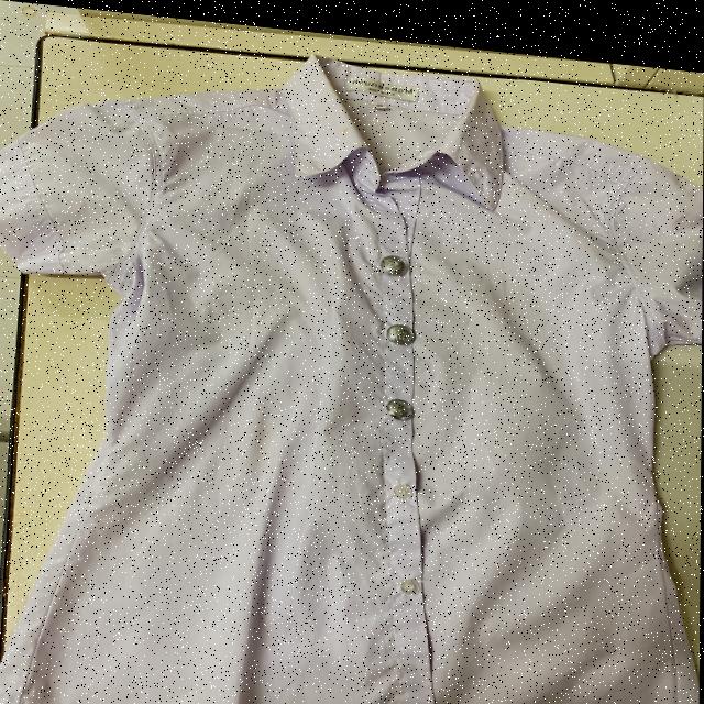 Clothing Project Instance Segmentation Dataset and Pre-Trained Model by EdenGrowney