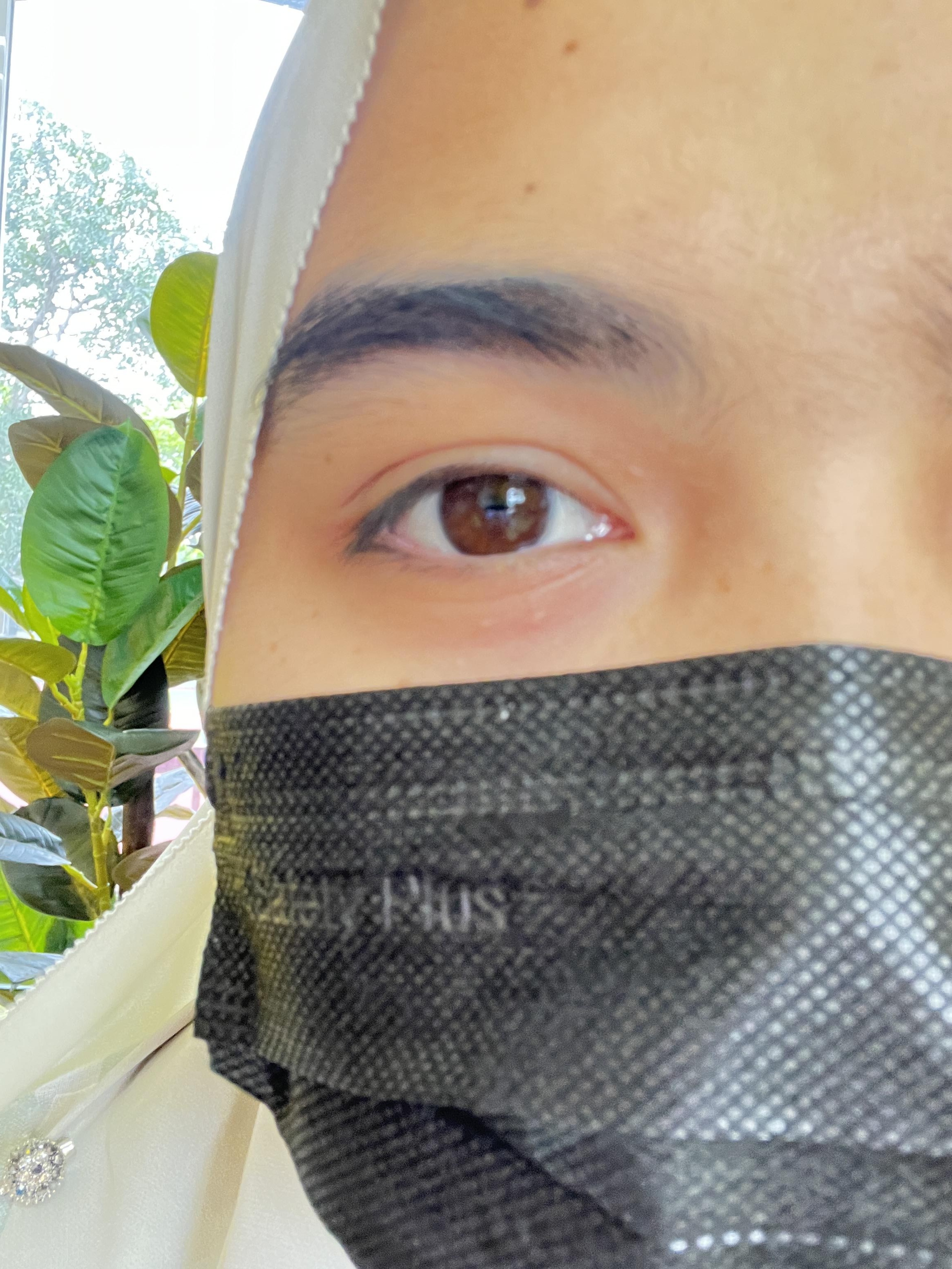 PHD-IRIS Instance Segmentation Dataset by PHD UTM