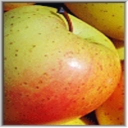 apple Object Detection Dataset by Big Ounce