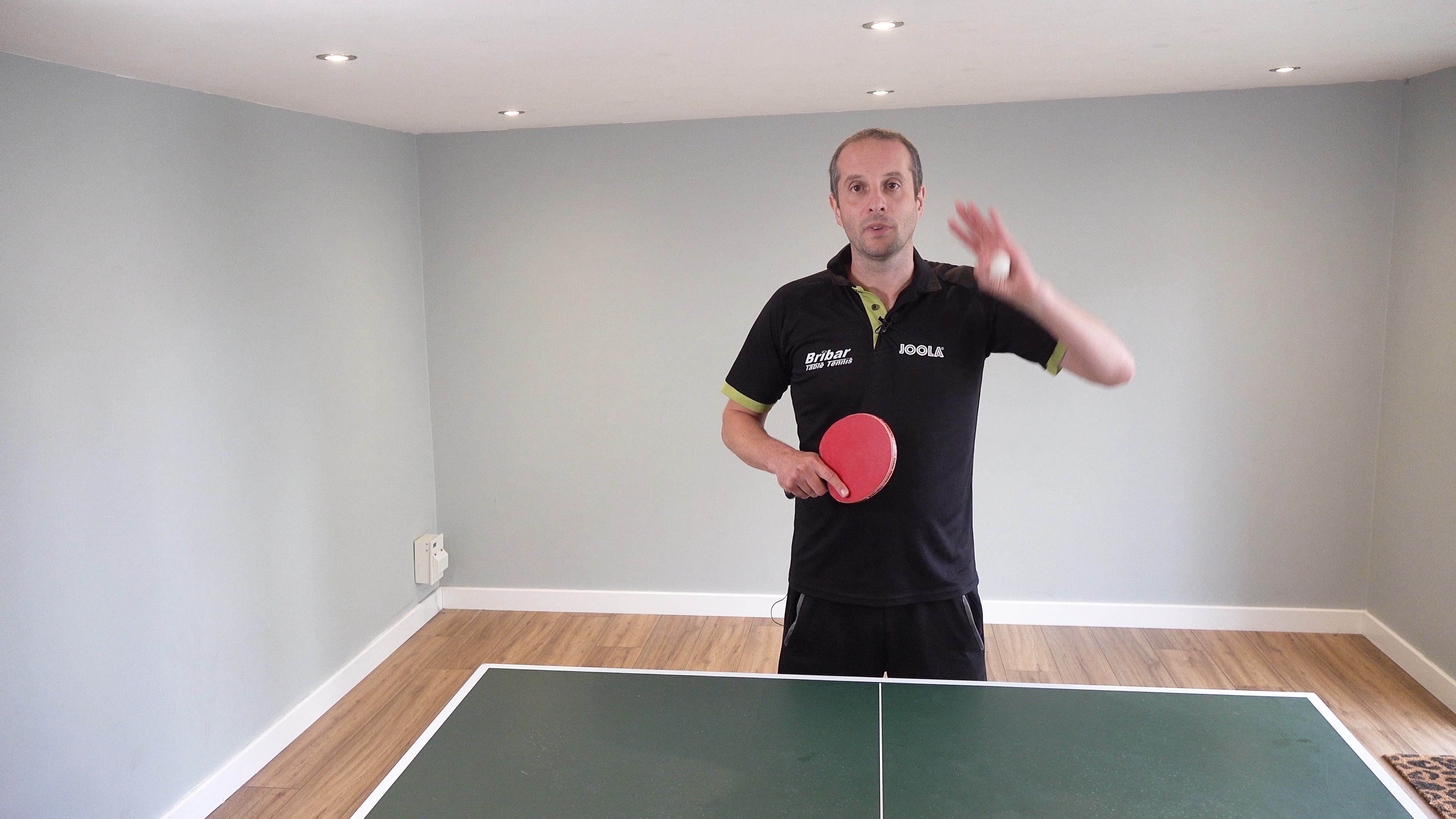 Ping Pong Detections Object Detection Dataset and Pre-Trained Model by JD