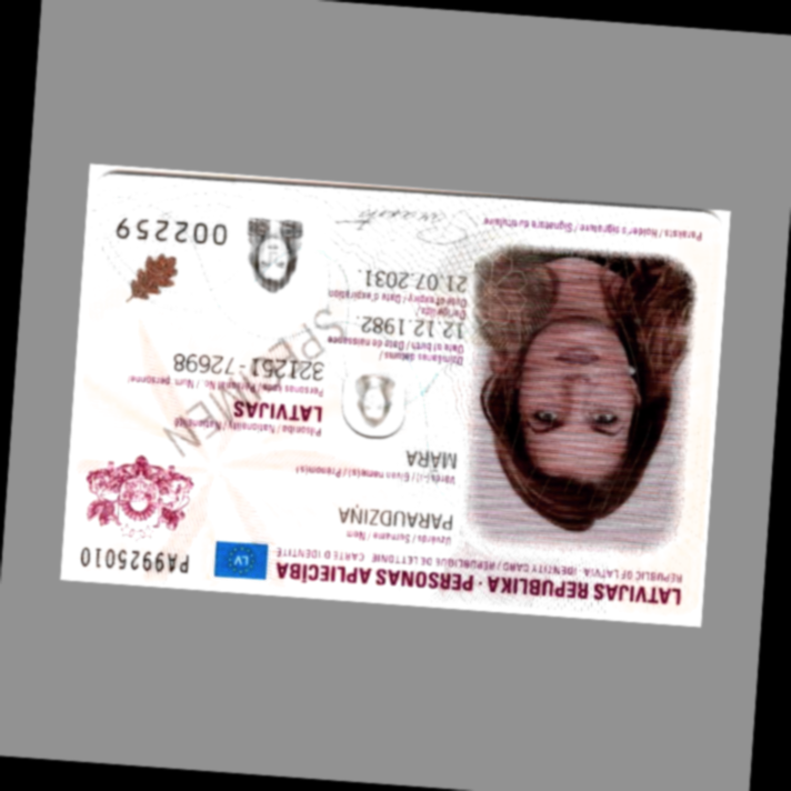 Data Annotation (data-annotation-v8pb6) - Roboflow Universe