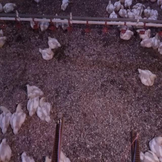 Fundamentos de IA - Roboflow Universe