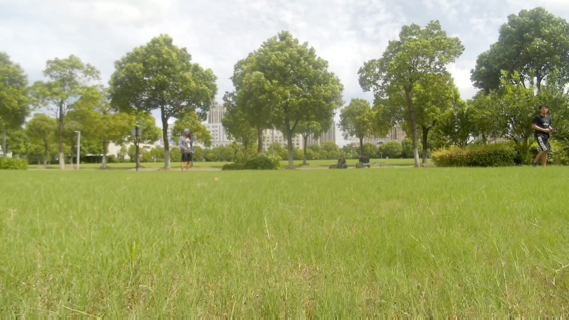 zhenchafeige Object Detection Model by zhencha