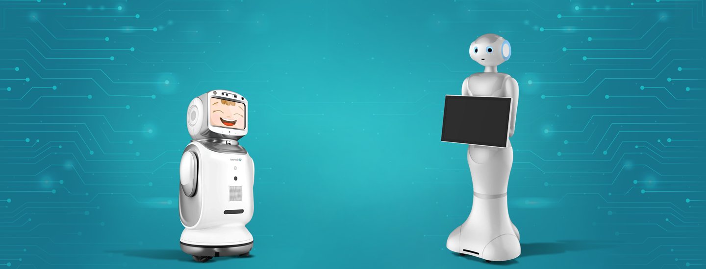 Humanoid robots and people Object Detection Dataset by Identify humanoid robots people kids