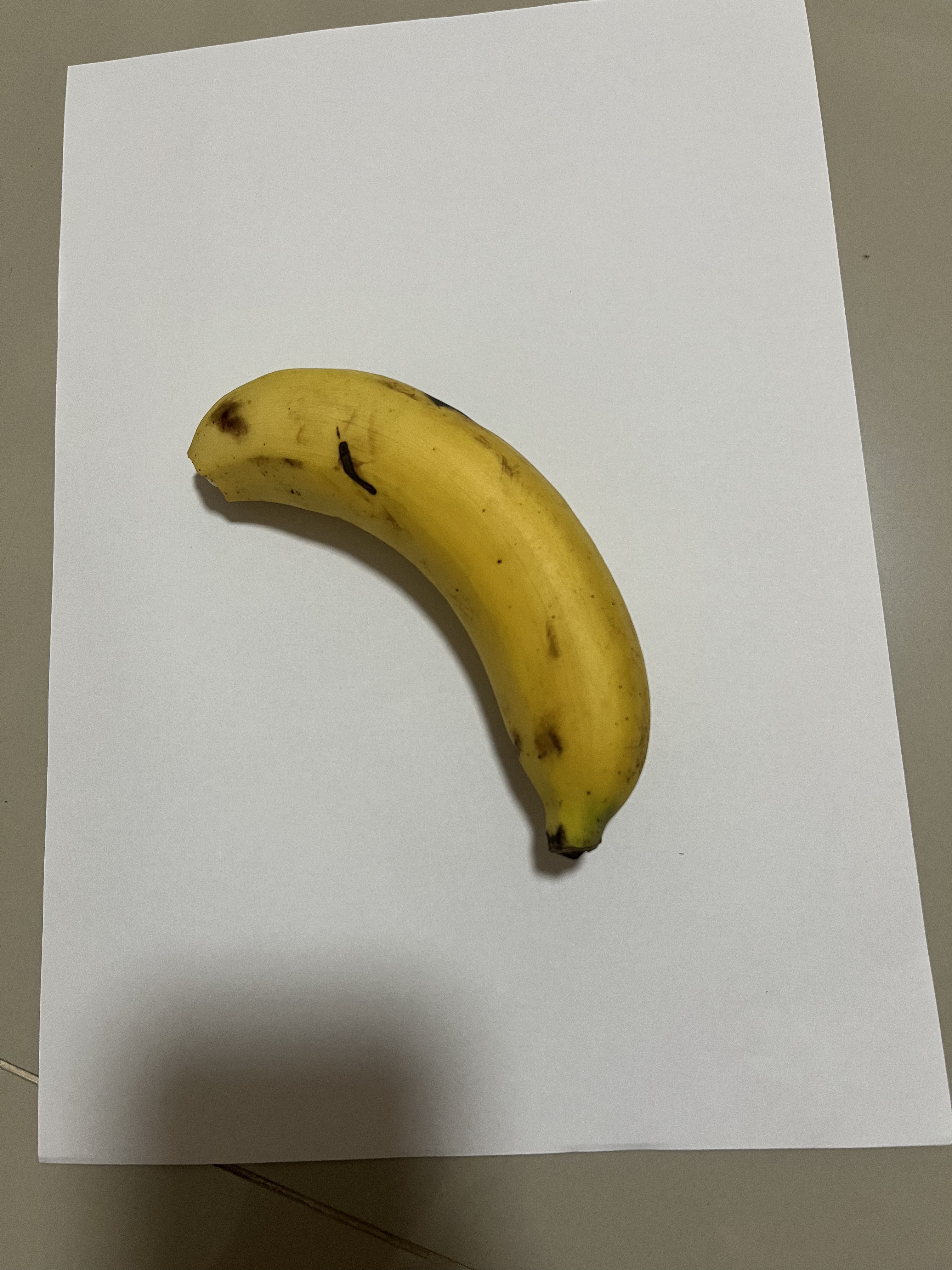 Banana Detection Real Object Detection Dataset By Banana