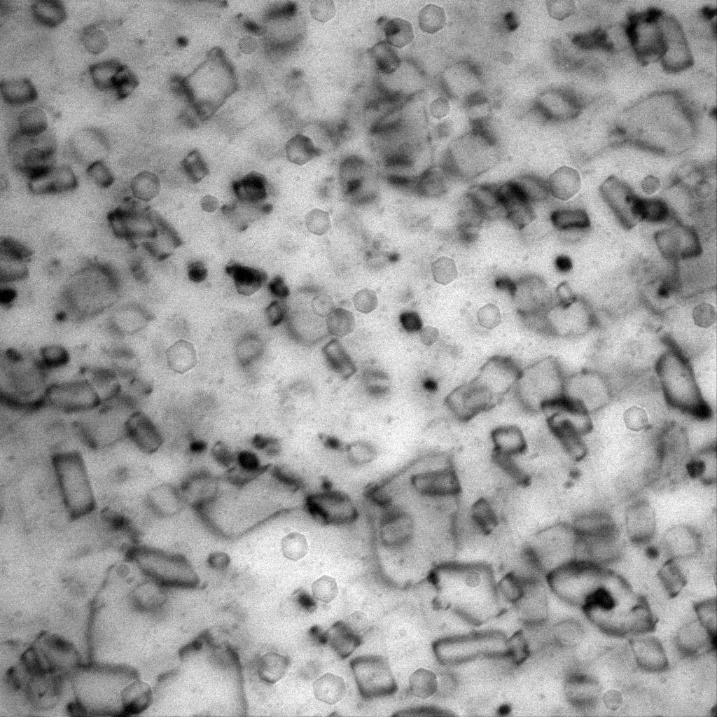 voids Instance Segmentation Dataset by tif to coco jason