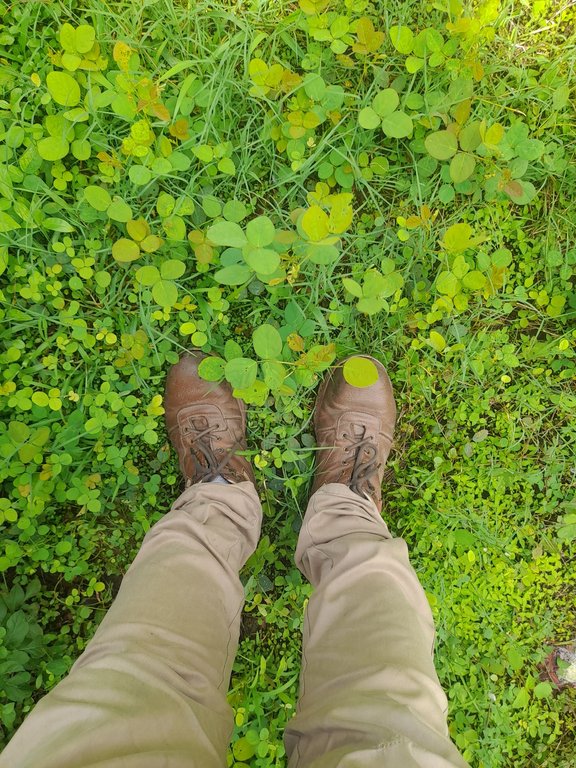 AI_Validation Object Detection Dataset by Rijul