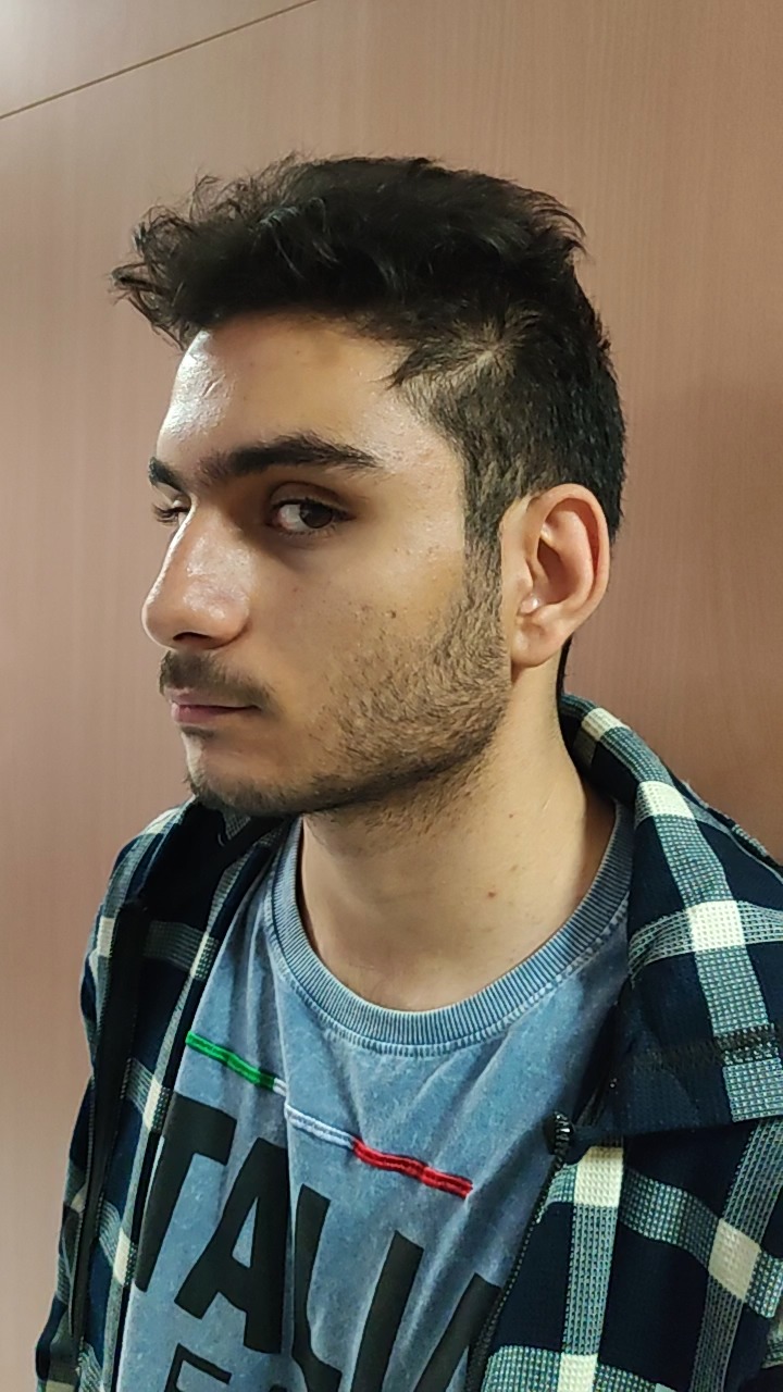 mamad detection Object Detection Dataset by mohlab