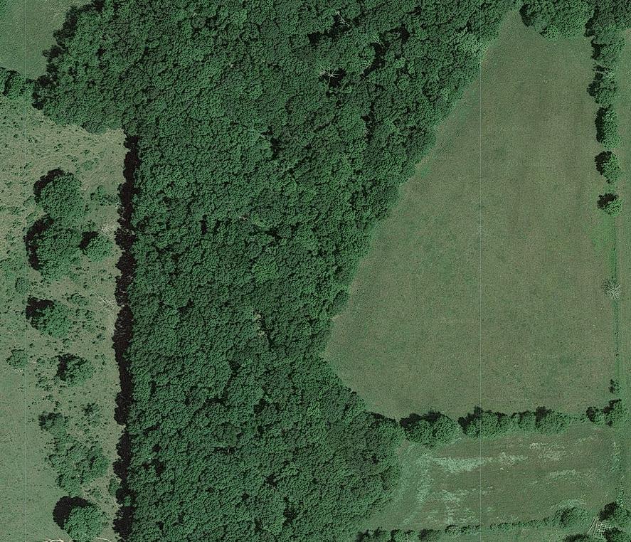 vegetation_search Instance Segmentation Dataset by CTUAV