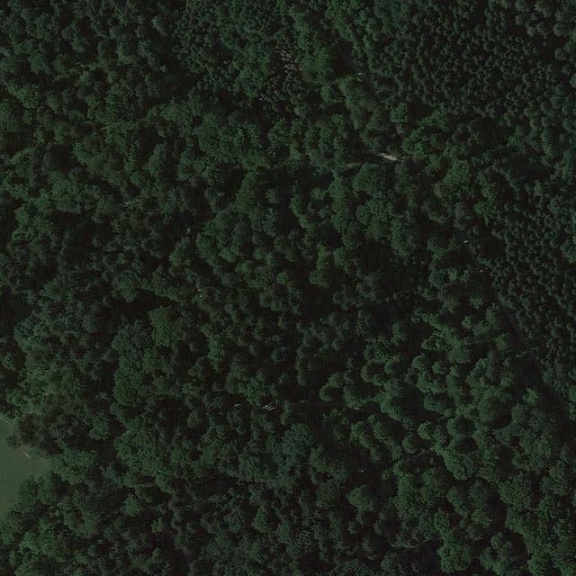 vegetation_ctuav Instance Segmentation Dataset by CTUAV