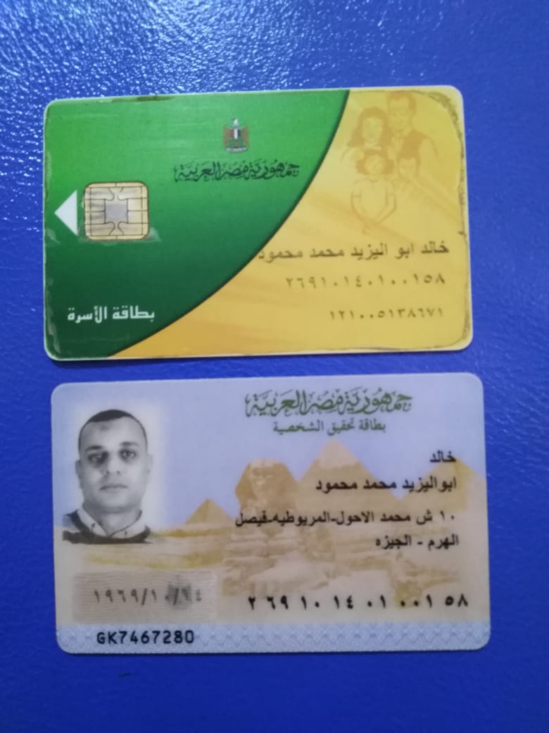 segmentation Instance Segmentation Dataset and Pre-Trained Model by Toka Ibrahim