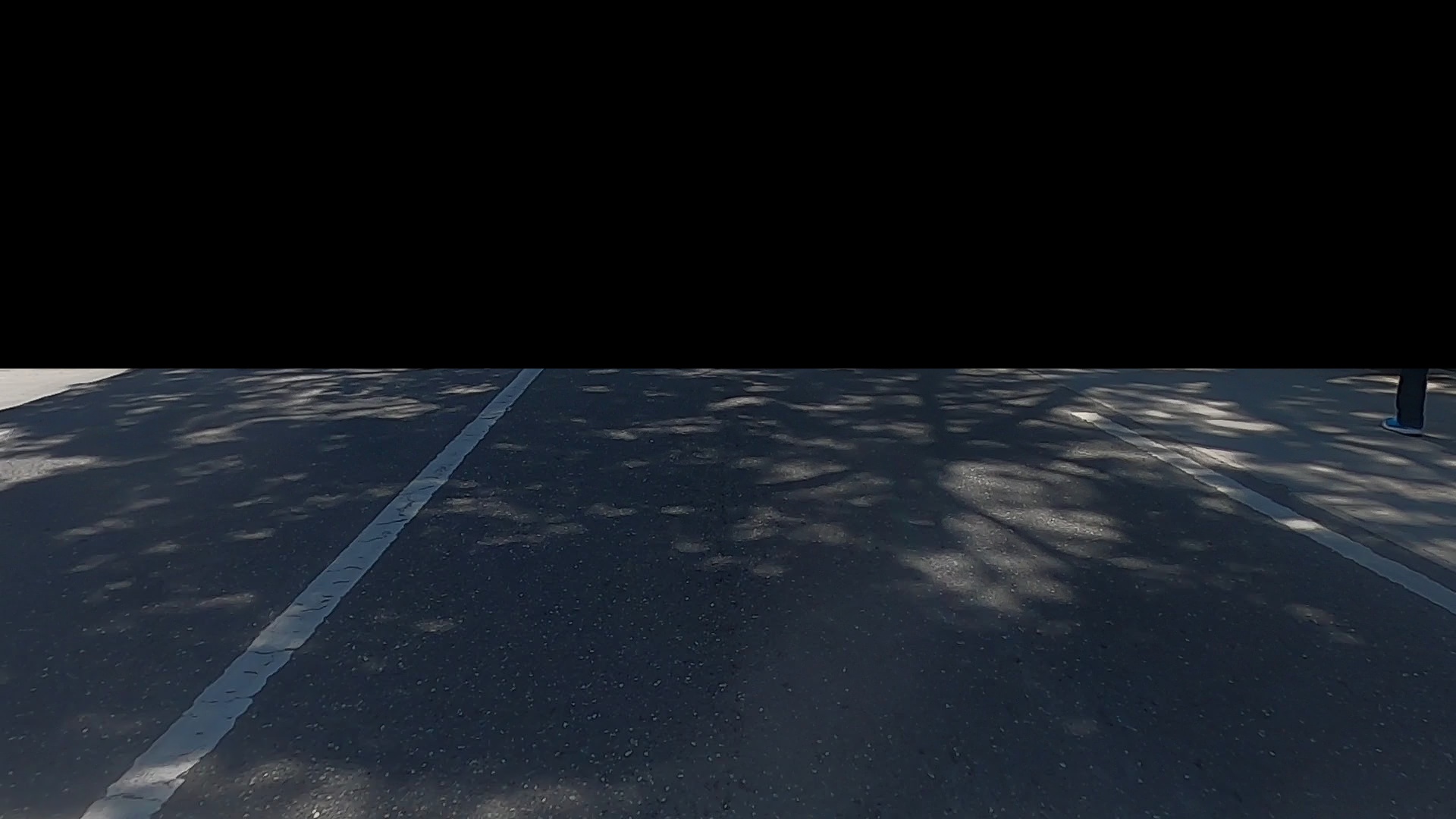 Asphalt Instance Segmentation Dataset by ML Thesis Lane and Obstacle Detection