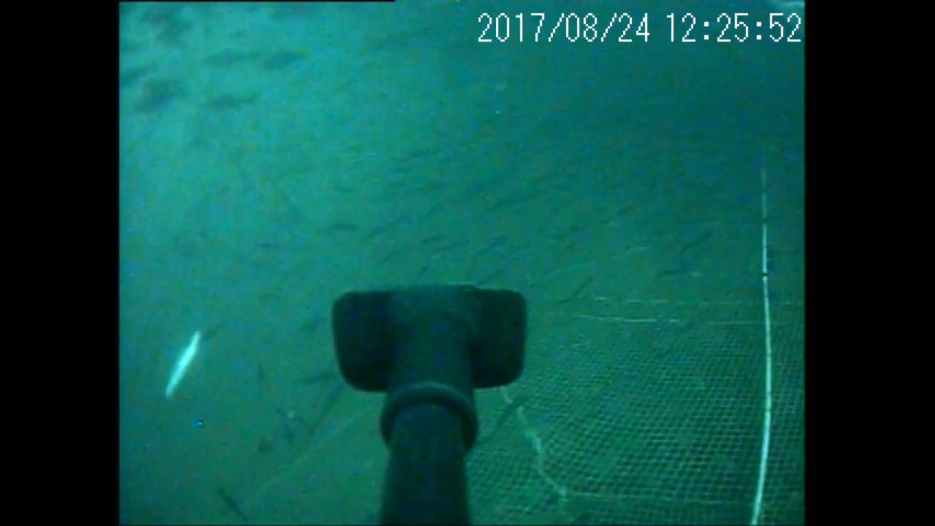 Dead Fish Object Detection Dataset and Pre-Trained Model by AAST