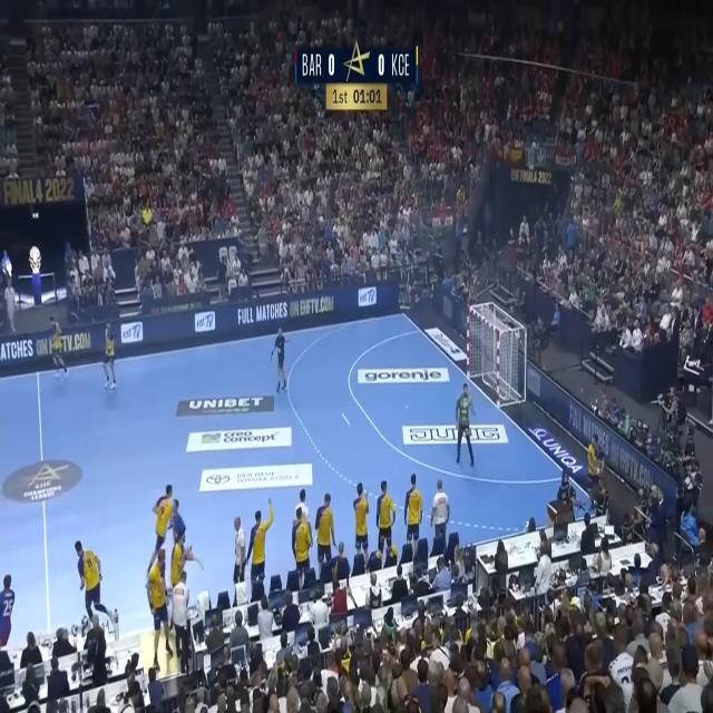 Handball Detection Roboflow Universe