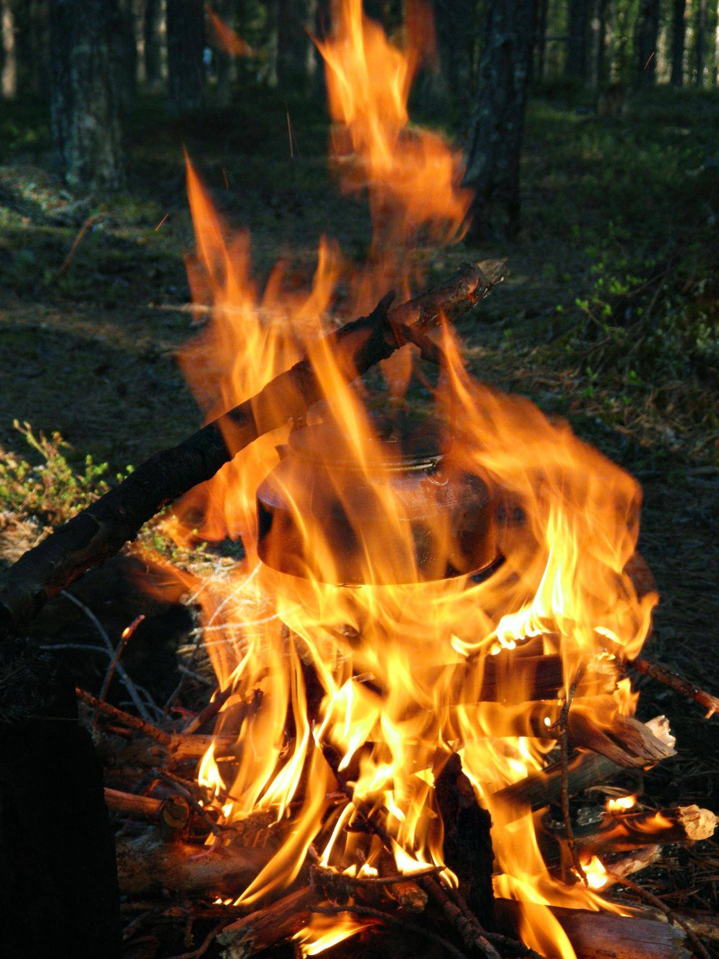 Fire Detection Object Detection Model By Fire Detection Workspace