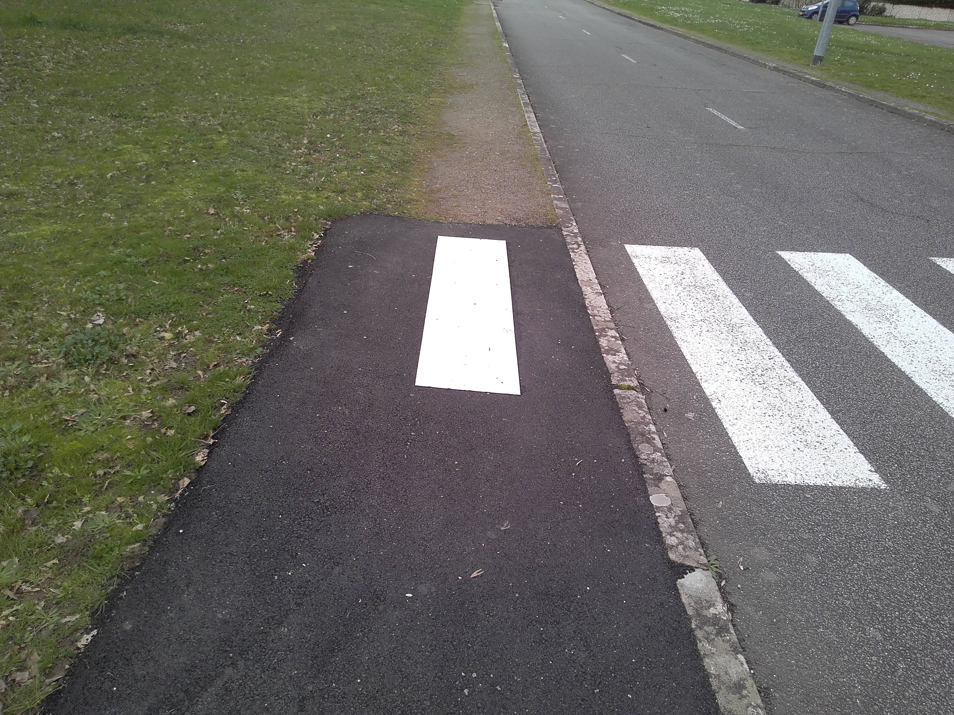 Bev Detection Object Detection Dataset And Pre Trained Model By Crosswalk