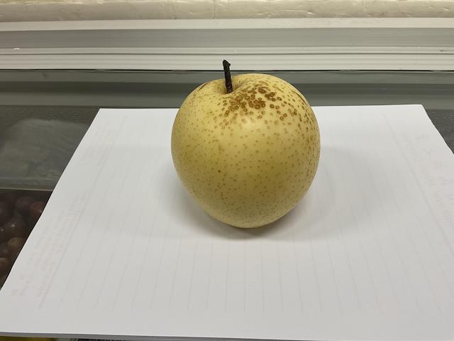 13 pear Object Detection Dataset by wwww